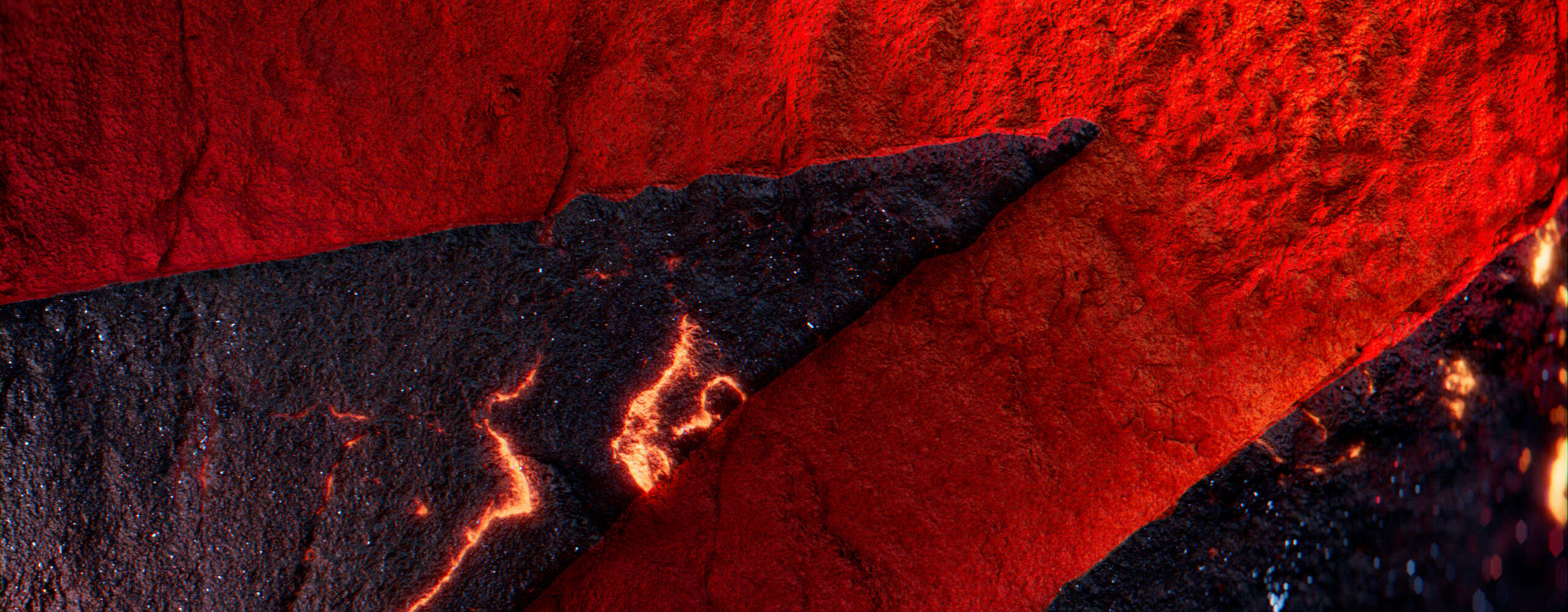 Sezer Uysal / Logo Design & Brand ID — Thornberg and Forester